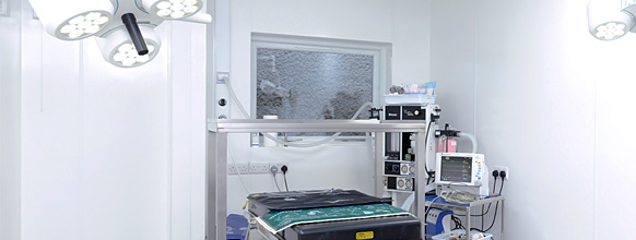 Kentdale Veterinary Orthopaedics Services and Facilities