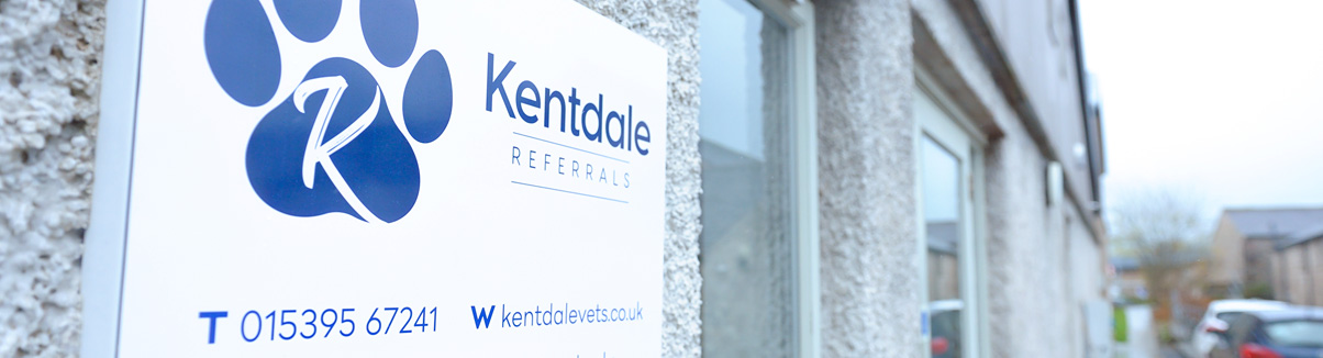 About Kentdale Veterinary Referrals in the north west of England