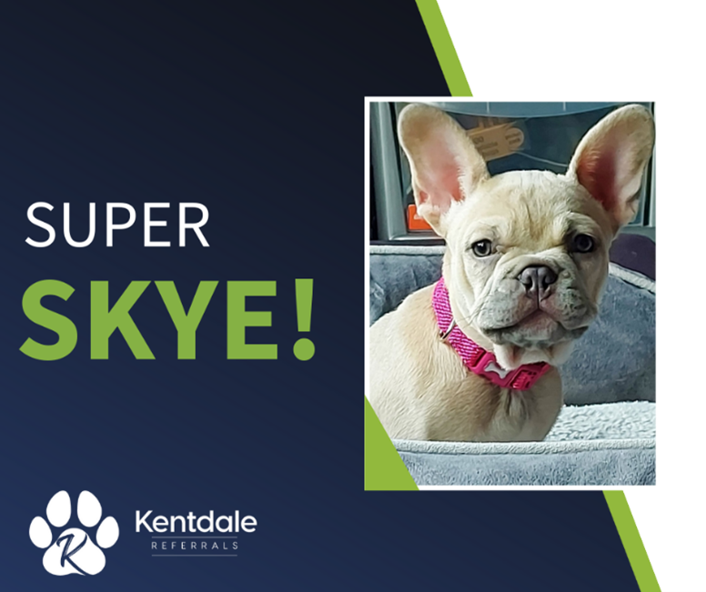 Kentdale Referrals News