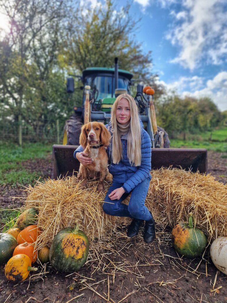 COCKER SPANIEL CURED OF ‘CATASTROPHIC’ INJURY | Kentdale Referrals News